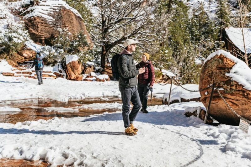 From Springdale: 4-hour Zion Canyon Scenic Hiking Tour - Who This Tour Is Best For