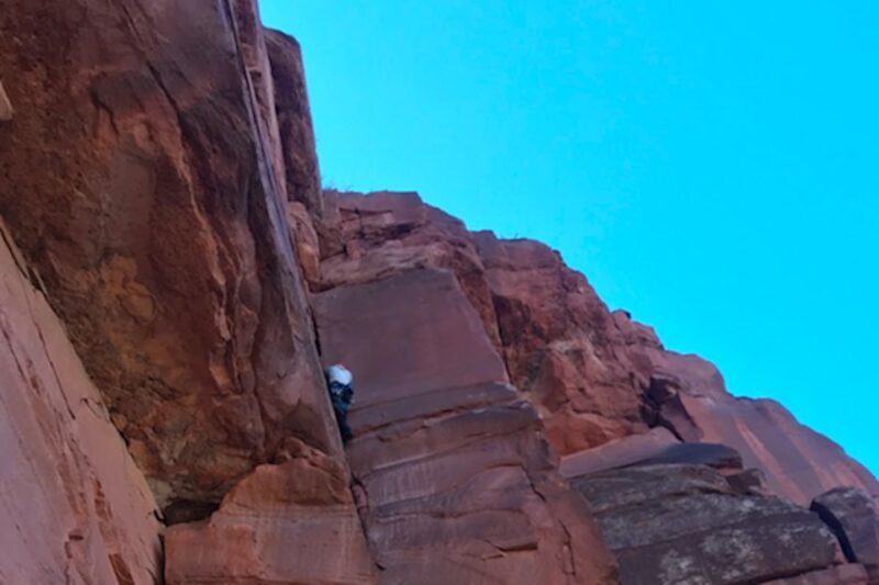 From Springdale: Half-Day Rock Climbing Experience - Authentic Review Highlights