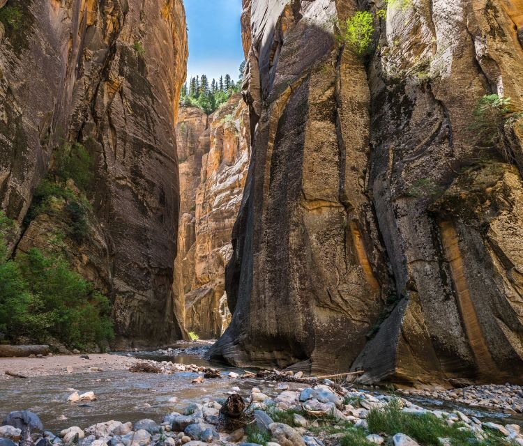 From Springdale: The Zion Narrows Hike with Lunch - An In-Depth Look at the Zion Narrows Guided Hike