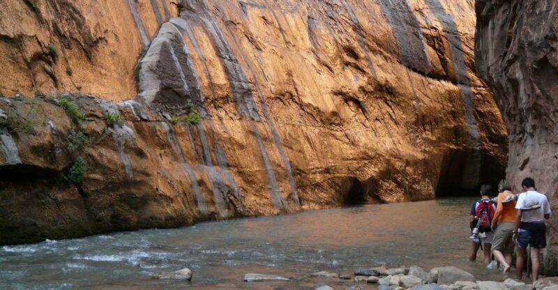 From Springdale: The Zion Narrows Hike with Lunch - What’s Included and What to Consider
