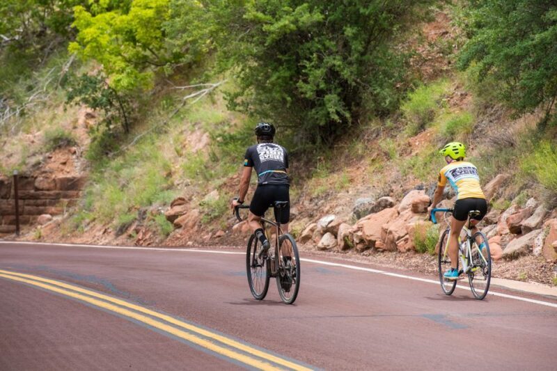 From Springdale: Zion National Park Bike Tour - Discovering Zion by Bike: A Unique Perspective