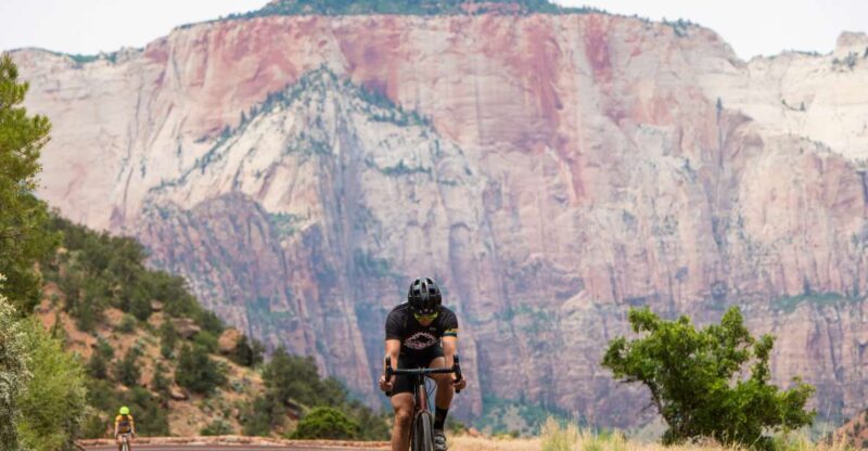 From Springdale: Zion National Park Bike Tour - What to Expect on Your Zion Bike Tour