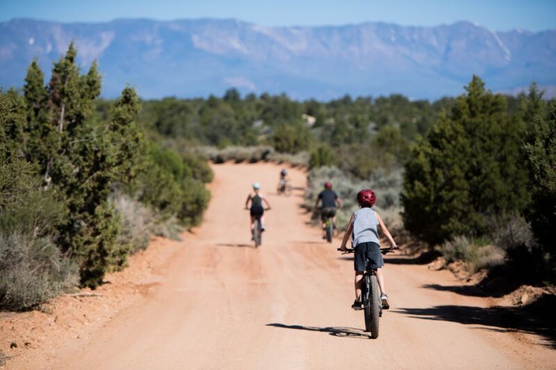 From Springdale: Zion National Park Bike Tour - Pricing and Value