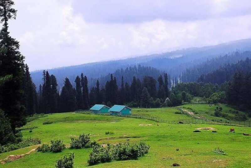 From Srinagar Full Day Trip of Yousmarg - Practical Considerations