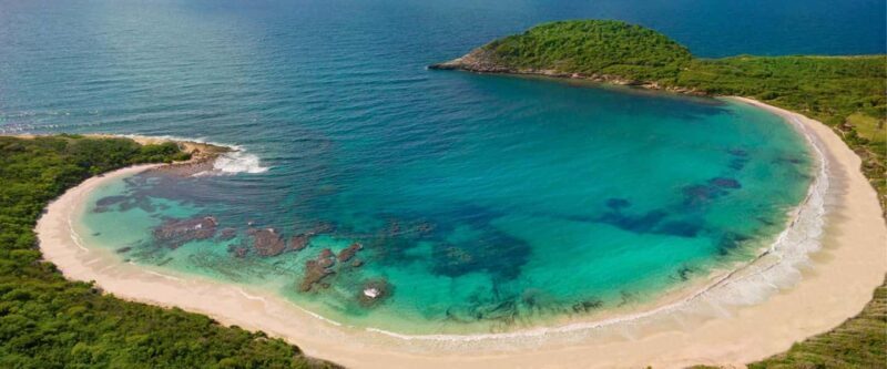 From St John's: Half Moon Bay Beach Half-Day Trip by Van - Key Points