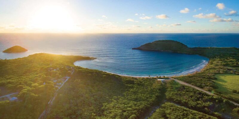 From St John's: Half Moon Bay Beach Half-Day Trip by Van - Snorkeling and Marine Life