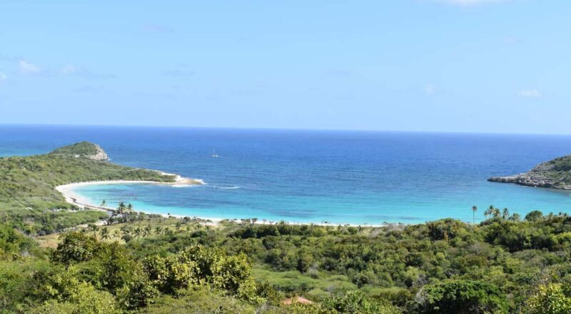 From St John's: Half Moon Bay Beach Half-Day Trip by Van - Small Group Experience & Personal Touches
