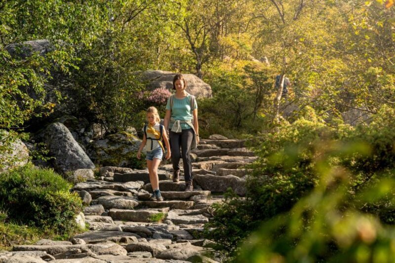 From Stavanger: Pulpit Rock Guided Hike with Pickup - Final Thoughts
