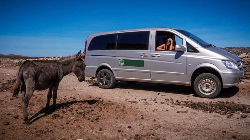 From Stintino: Asinara minivan tour - The Importance of a knowledgeable guide