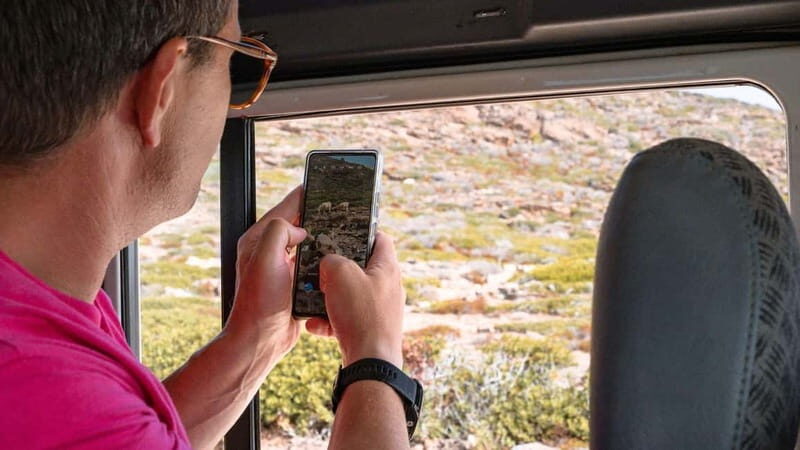 From Stintino: Asinara minivan tour - FAQs about the Asinara Minivan Tour