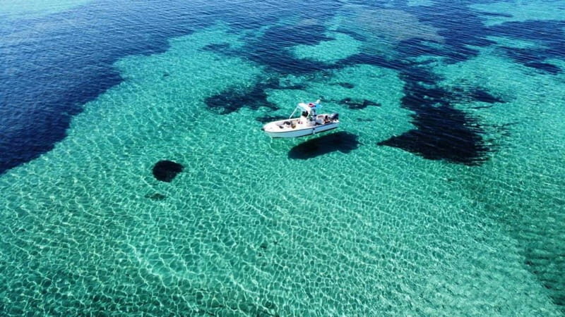From Stintino: boat trip to Asinara - An Authentic Look at the Excursion