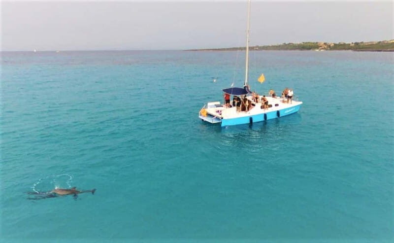 From Stintino: catamaran trip in the Gulf of Asinara - The Sum Up