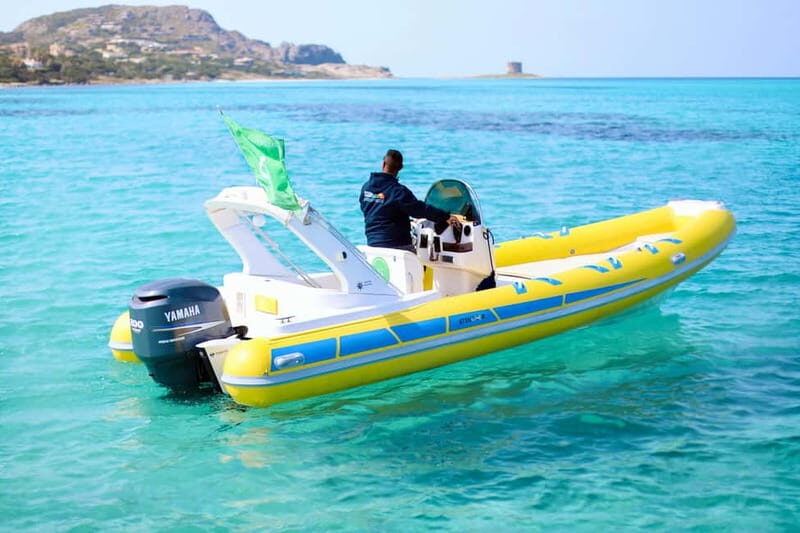 From Stintino: dinghy tour to Asinara with aperitif - Key Points