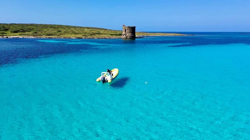 From Stintino: dinghy tour to Asinara with aperitif - An In-Depth Look at the Tour Experience
