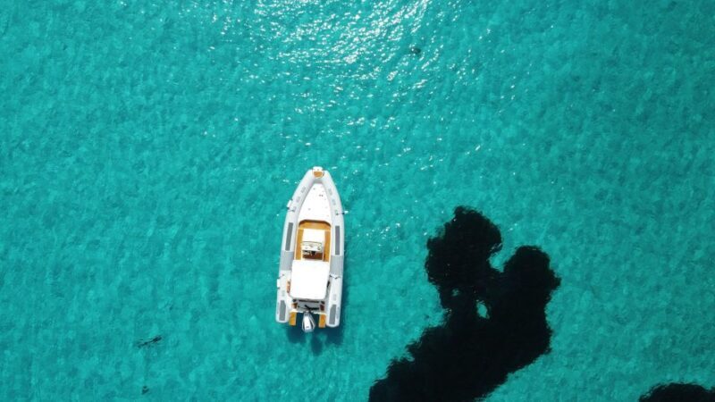 From Stintino: Half-day dinghy tour in Asinara Gulf - Key Points