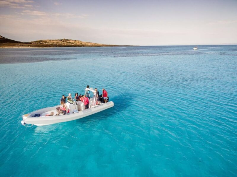 From Stintino: Half-day dinghy tour in Asinara Gulf - Who Should Consider This Tour