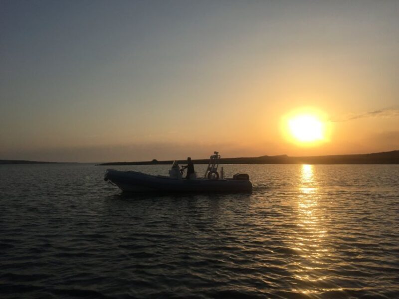 From Stintino: Half-day dinghy tour in Asinara Gulf - Frequently Asked Questions