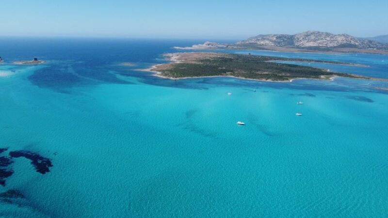 From Stintino: Half-day dinghy tour in Asinara Gulf - Final Thoughts