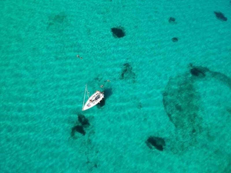 From Stintino: Half-Day Sailing Boat Tour to Asinara - Key Points