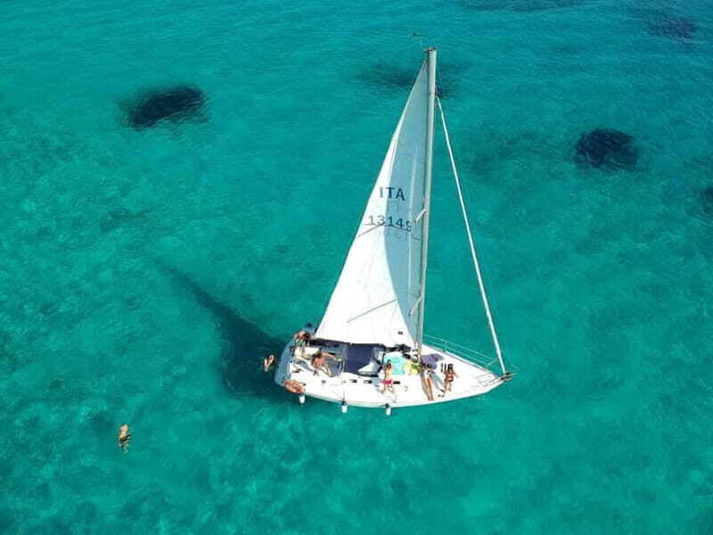 From Stintino: Half-Day Sailing Boat Tour to Asinara - Real Experiences and Authentic Feedback