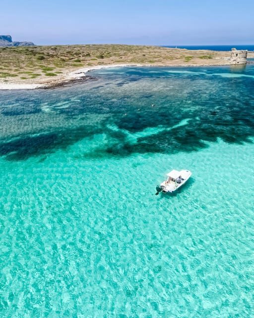From Stintino: Half-Day Speedboat Tour to Asinara - Key Points