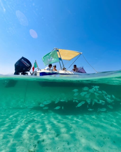 From Stintino: Half-Day Speedboat Tour to Asinara - Discovering the Beauty of Asinara on a Speedboat