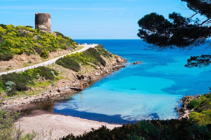 From Stintino: sailboat tour to Asinara - Key Points