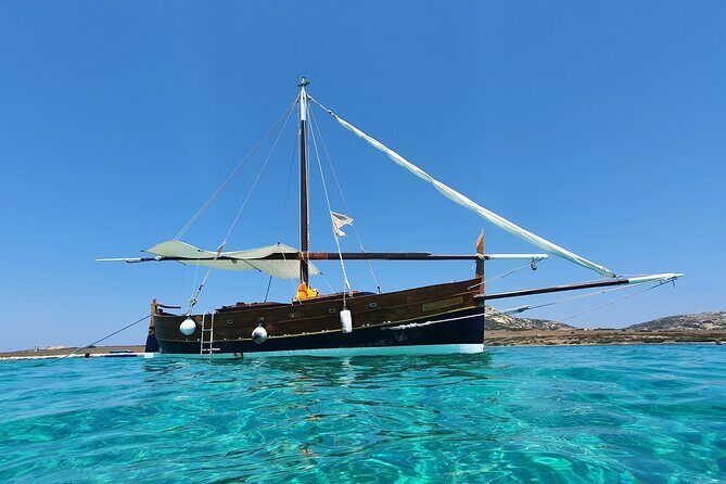 From Stintino: sailing trip to Asinara - Key Points