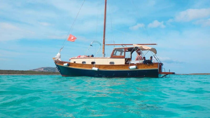 From Stintino: wooden boat excursion to Asinara Island - Key Points