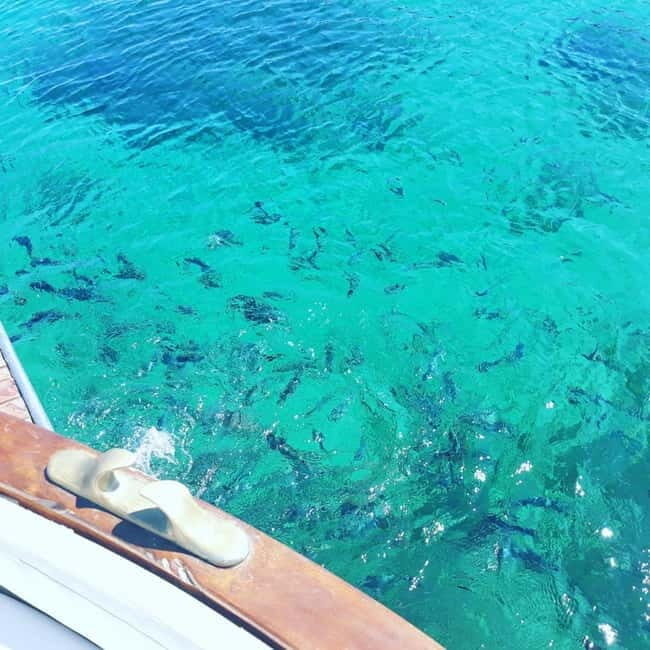 From Stintino: wooden boat excursion to Asinara Island - The Sum Up