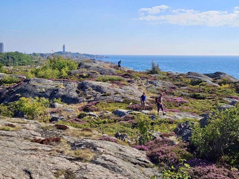 From Stockholm: Archipelago hike to Landsort lighthouse - Enjoying Island Life and Local Flavors