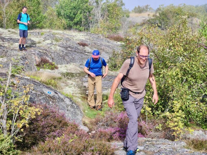 From Stockholm: Archipelago hike to Landsort lighthouse - Returning to Stockholm