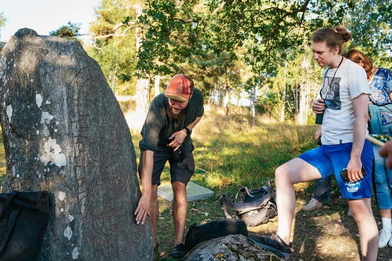 From Stockholm: Moose & Wildlife Safari with Campfire Dinner - An In-Depth Look at the Moose & Wildlife Safari