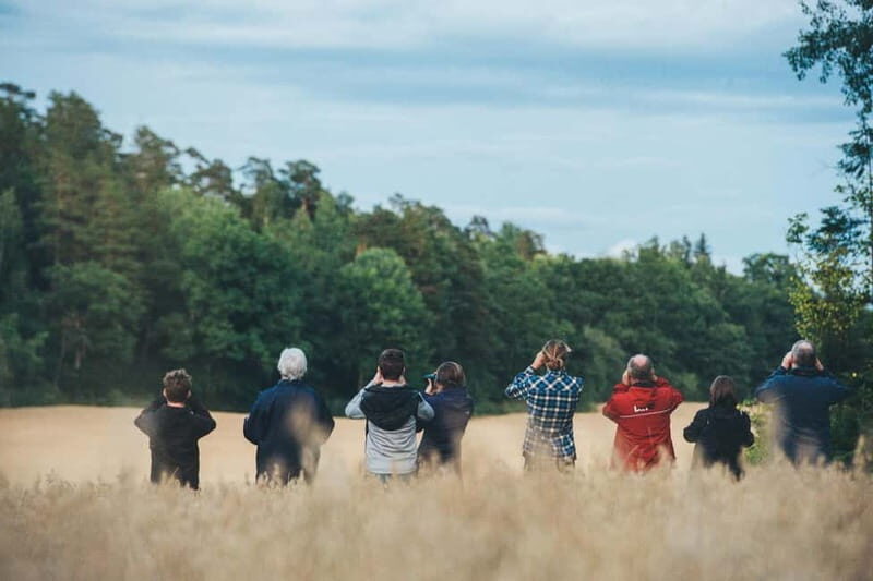 From Stockholm: Moose & Wildlife Safari with Campfire Dinner - Who Should Consider This Safari?