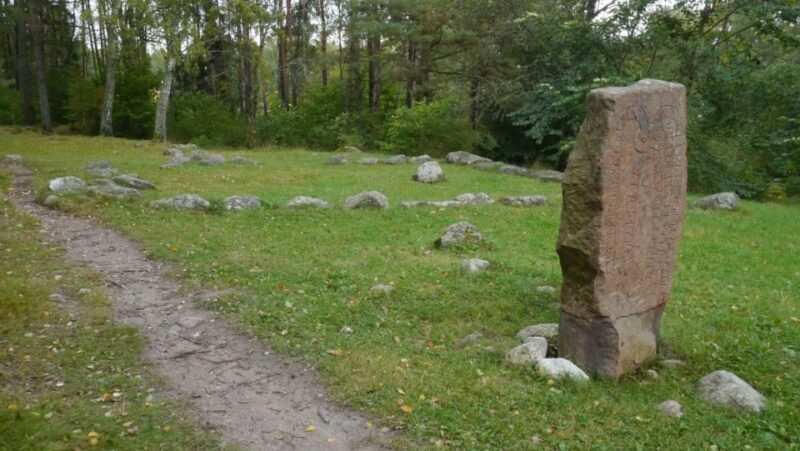 From Stockholm: Viking Culture Guided Tour with Transfer - Final Thoughts