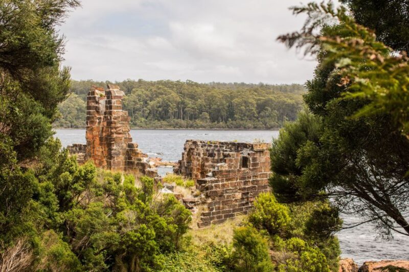 From Strahan: Evening Dinner Cruise on the Gordon River - The Culinary Aspect
