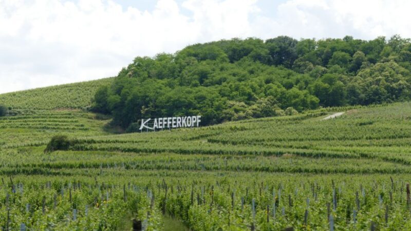 From Strasbourg: Best Of Alsace Historical Day Trip - Key Points for the Best Alsace Day Trip