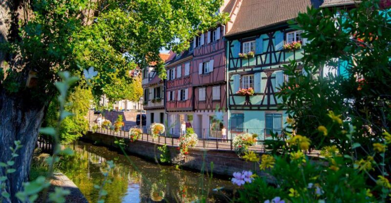 From Strasbourg: Best Of Alsace Historical Day Trip - Analyzing the Cost and Value
