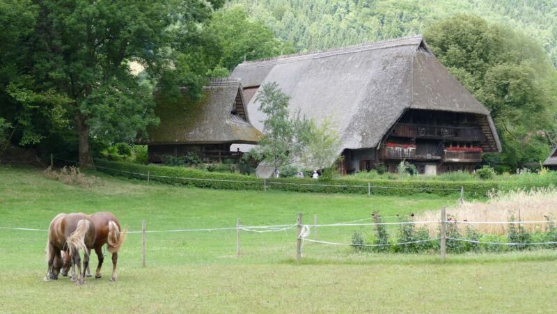 From Strasbourg: Black Forest Day Trip with Guide & Museum - Practical Tips for Your Day