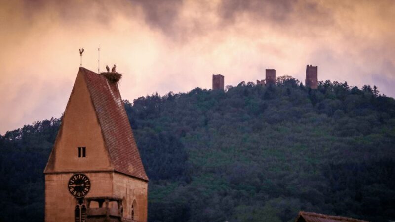 From Strasbourg: Colmar & Alsace Wine Route Private Day Trip - Final Thoughts: Who Would Love This?