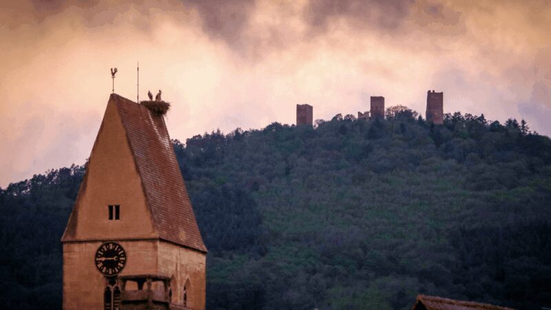 From Strasbourg: Colmar & Alsace Wine Route Private Day Trip - FAQ
