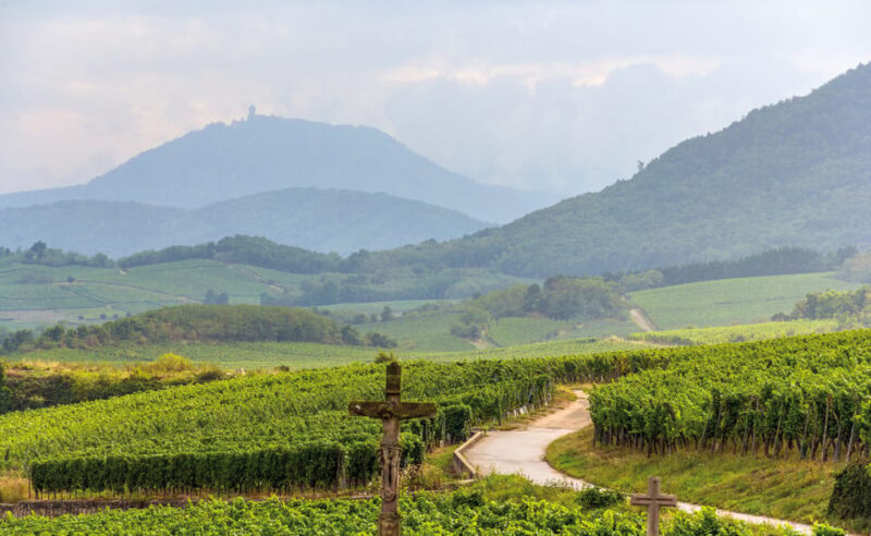 From Strasbourg: Full-Day Highlights of the Alsace Tour - Practical Details