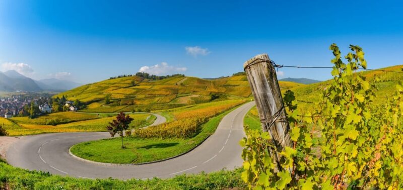 From Strasbourg: Half-Day Tour of Alsace Villages - A Closer Look at the Itinerary and What You Can Expect