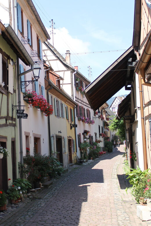 From Strasbourg: Half-Day Tour of Alsace Villages - Practical Tips for Travelers