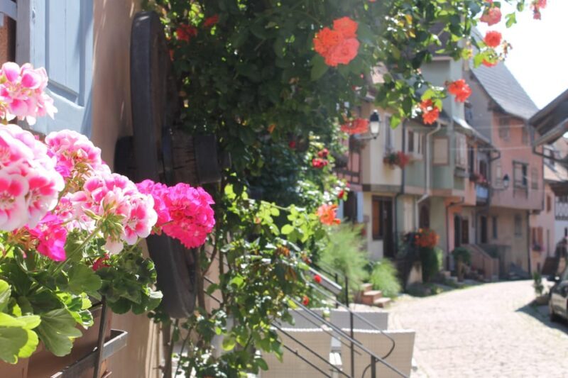 From Strasbourg: Half-Day Tour of Alsace Villages - FAQ