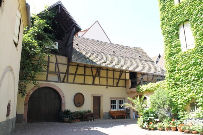 From Strasbourg: Half-Day Tour of Alsace Villages - Final Thoughts
