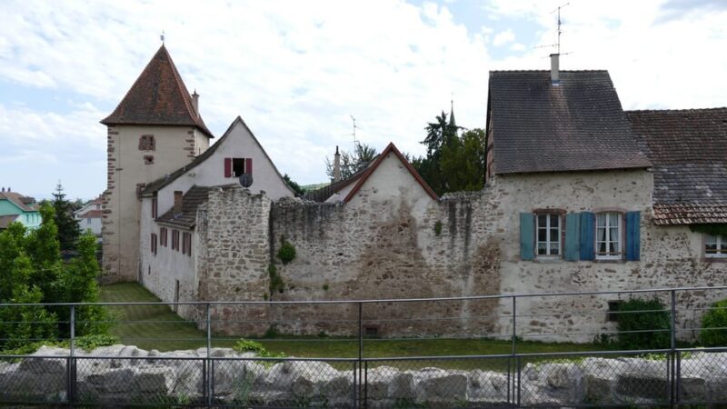 From Strasbourg: Medieval Villages & Wine Tasting Day Trip - Who Will Love This Tour?