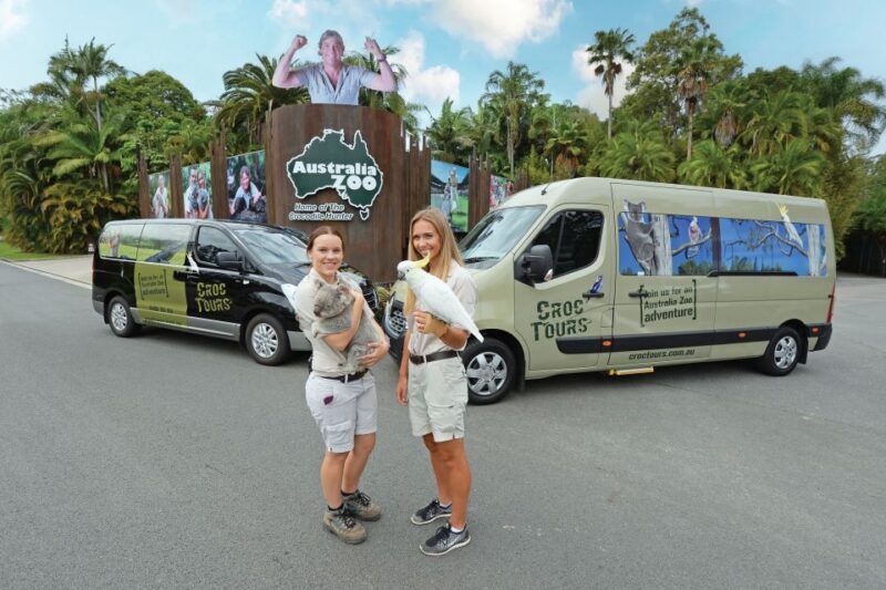 From Sunshine Coast: Australia Zoo Entry Ticket and Transfer - Authentic Visitor Experiences