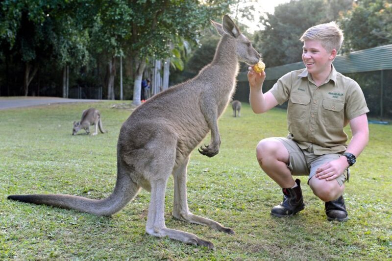 From Sunshine Coast: Australia Zoo Entry Ticket and Transfer - Who Should Consider This Tour?