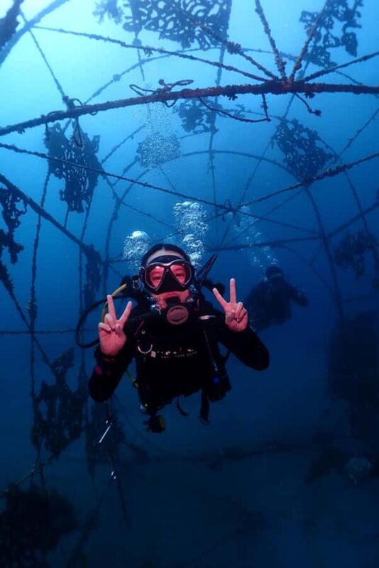 From Surabaya: Banyuwangi 2-day Diving Tour - What Makes This Tour Stand Out
